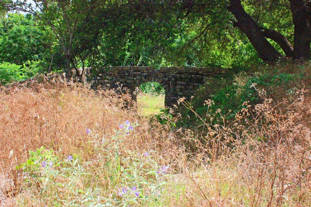 Fine Art Photo of Remnants of a Stone Structure Surrounded With Trees ...