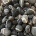 Unpolished Striped PNW Beach Rocks Genuine Sea Wish Wishing Stones With ...
