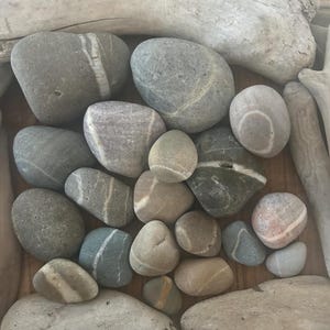 Unpolished Striped PNW Beach Rocks Genuine Sea Wish Wishing Stones With ...