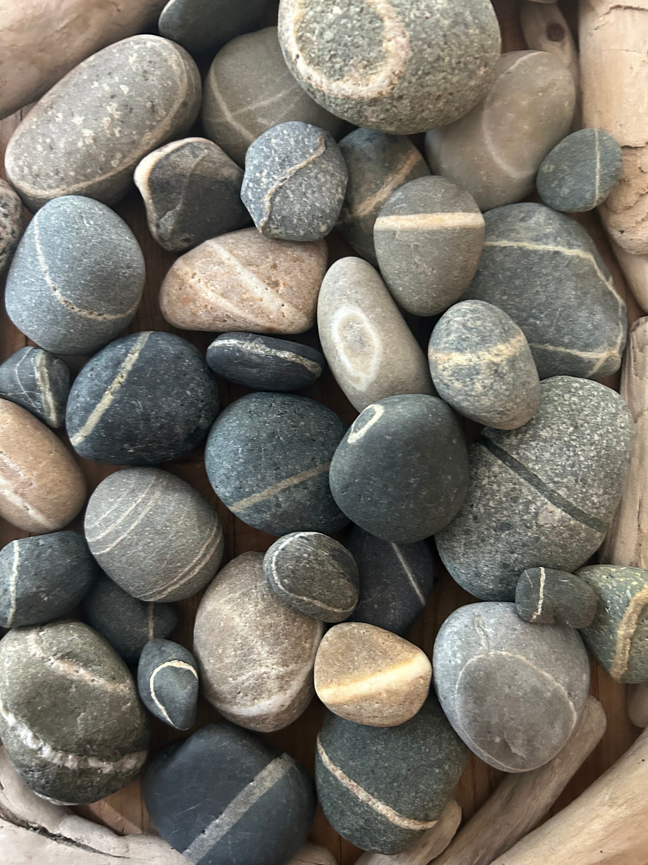 Bulk Genuine Wishing Stones Natural Striped Sea Wish Rocks - Etsy