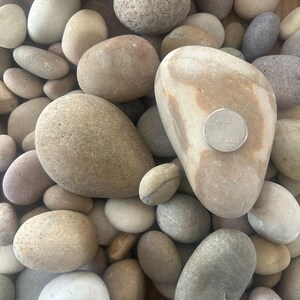 Large 8 Pound Bulk Bag Unpolished Rock Hand Collected Pacific Northwest ...