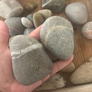 Unpolished Striped PNW Beach Rocks Genuine Sea Wish Wishing Stones With ...