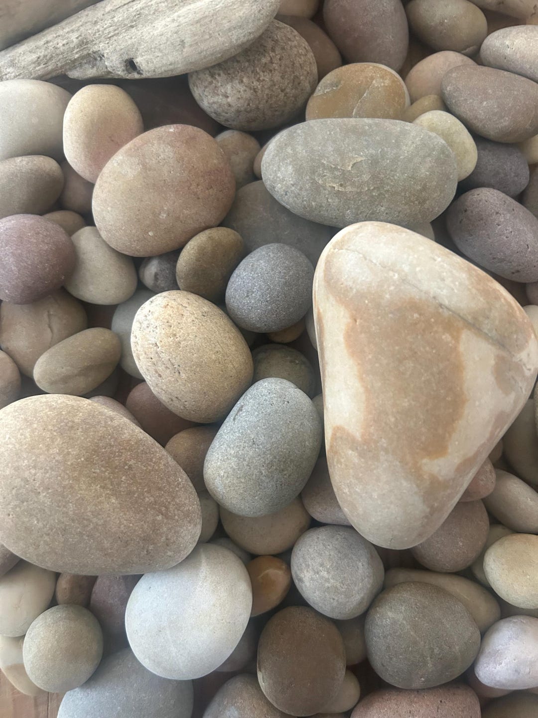 Large 8 Pound Bulk Bag Unpolished Rock Hand Collected Pacific Northwest ...