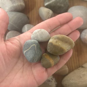Unpolished Striped PNW Beach Rocks Genuine Sea Wish Wishing Stones With ...