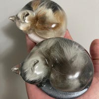Pet Memorial Fur Keepsake - Etsy