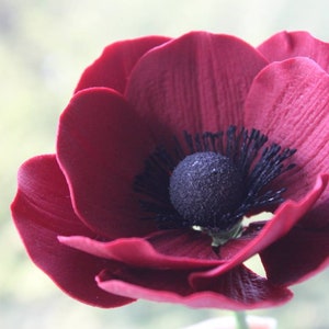Handmade Edible Sugar Anemone Flower Cake Topper Decorations - Etsy