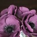 Handmade Edible Sugar Anemone Flower Cake Topper Decorations - Etsy