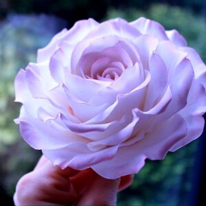 Handmade Edible Sugar Tea Rose Vintage English Flower Cake Topper ...