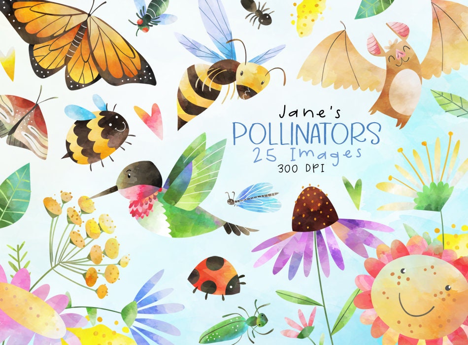 Watercolor Pollinators Clipart Garden Critters Download | Etsy