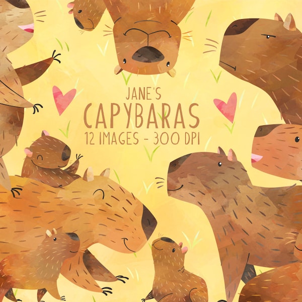 Cute Capybara Clipart - Etsy