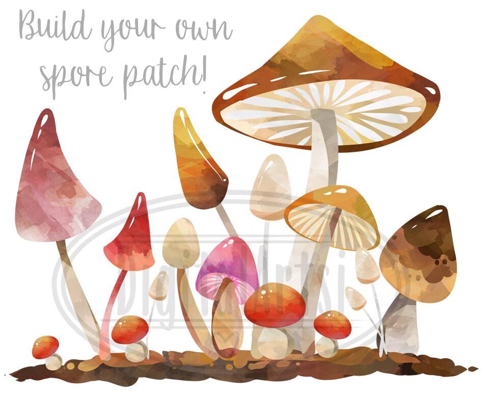 Watercolor Mushrooms Clipart Woodland Mushroom Download - Etsy Canada