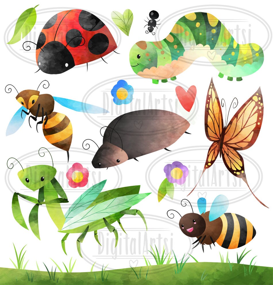Watercolor Bugs Clipart: Garden Insects Illustration (digital Download ...