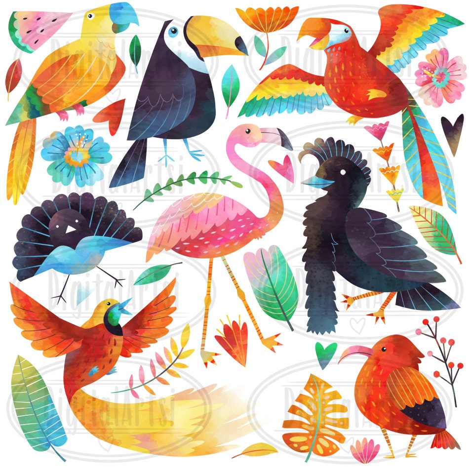Watercolor Tropical Birds Clipart Tropical Download - Etsy