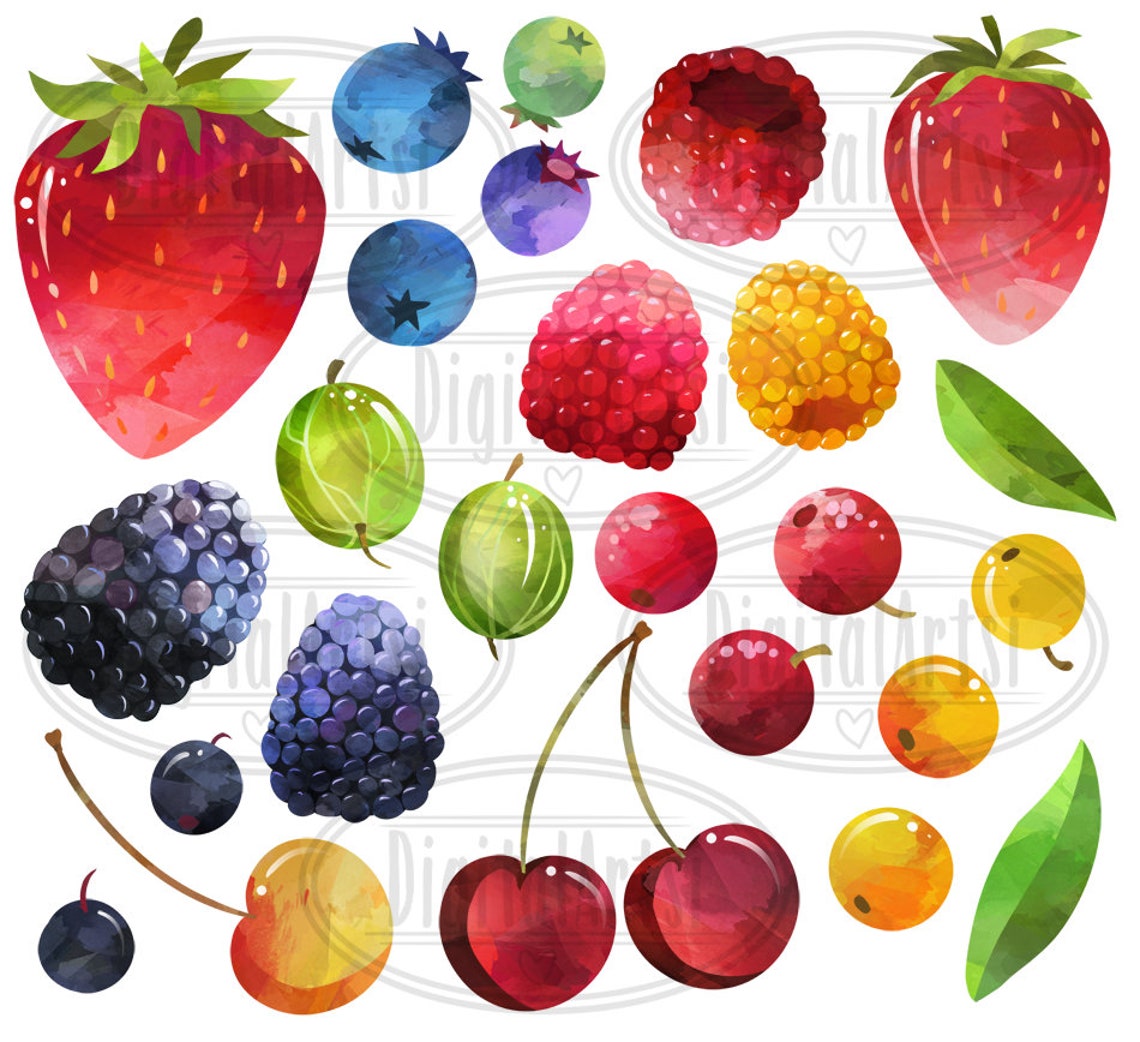 Watercolor Berries Clipart Berry Download Instant Download - Etsy