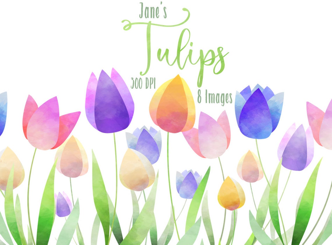 Watercolor Tulips Clipart Floral Download Instant Download | Etsy