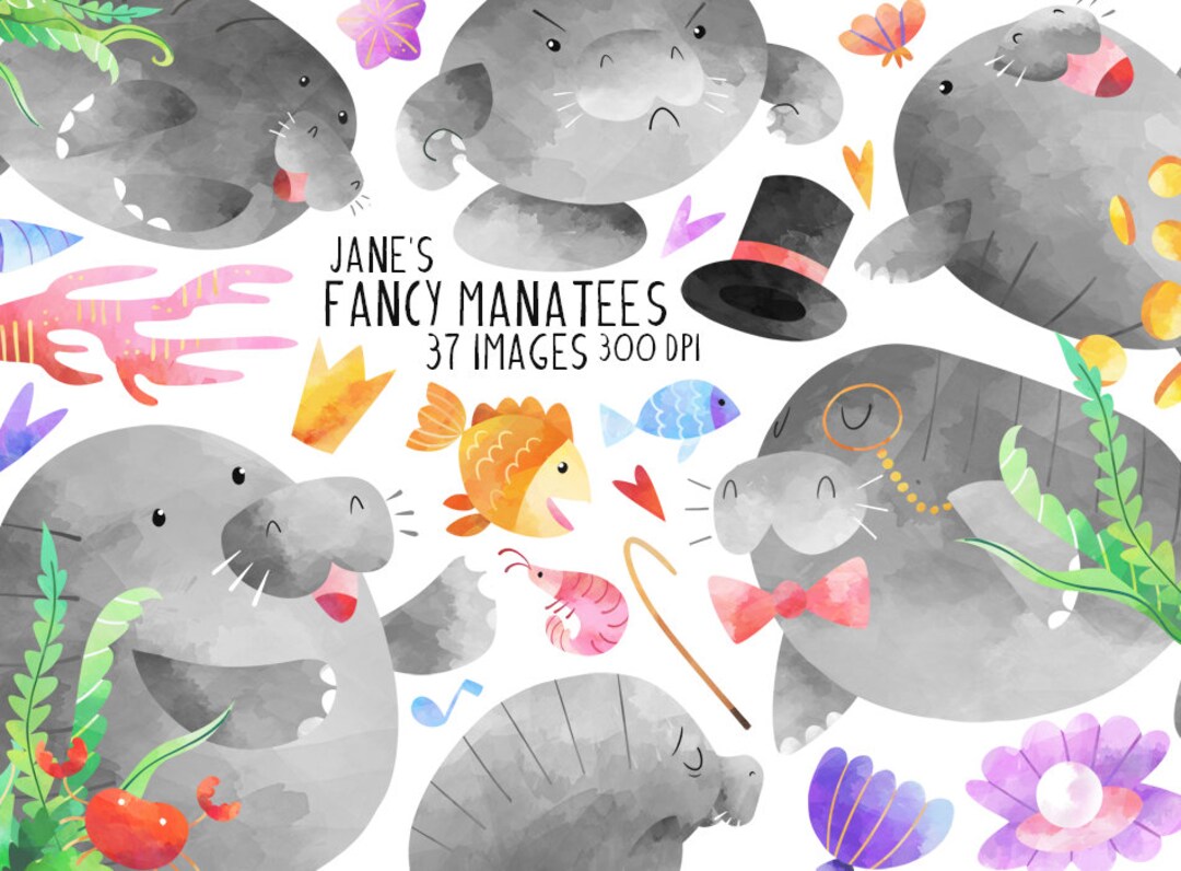 Watercolor Manatee Clipart: Sea Creatures (digital Download, Hand Drawn ...