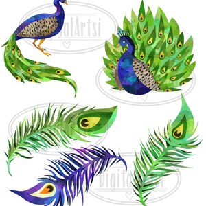 Watercolor Peacock Clipart - Cute Bird Download - Instant Download ...