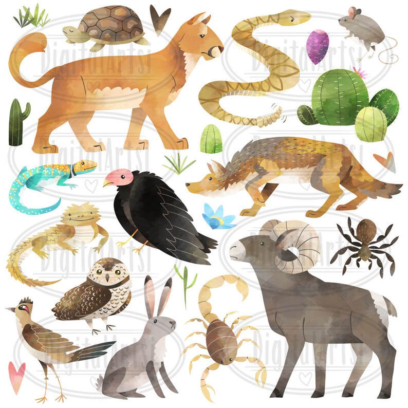 Watercolor Desert Animals Clipart: 25 PNG Images (digital Download ...