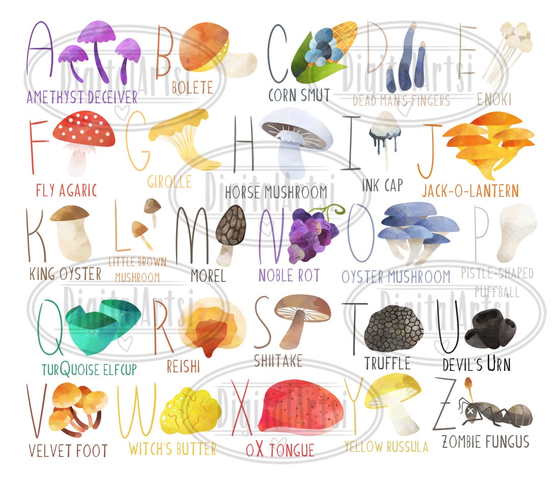 Watercolor Fungi A-Z Clipart: Mushroom Graphics (digital Download) - Etsy