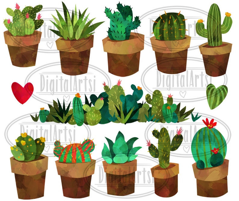 Watercolor Cactus Clipart: Potted Succulents, Desert Plants (PNG ...