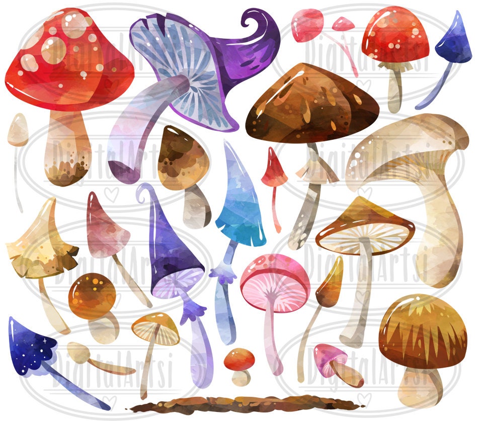 Watercolor Mushrooms Clipart Woodland Mushroom Download - Etsy Canada