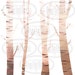 Watercolor Birch Trees Clipart - Forest Download - Instant Download ...