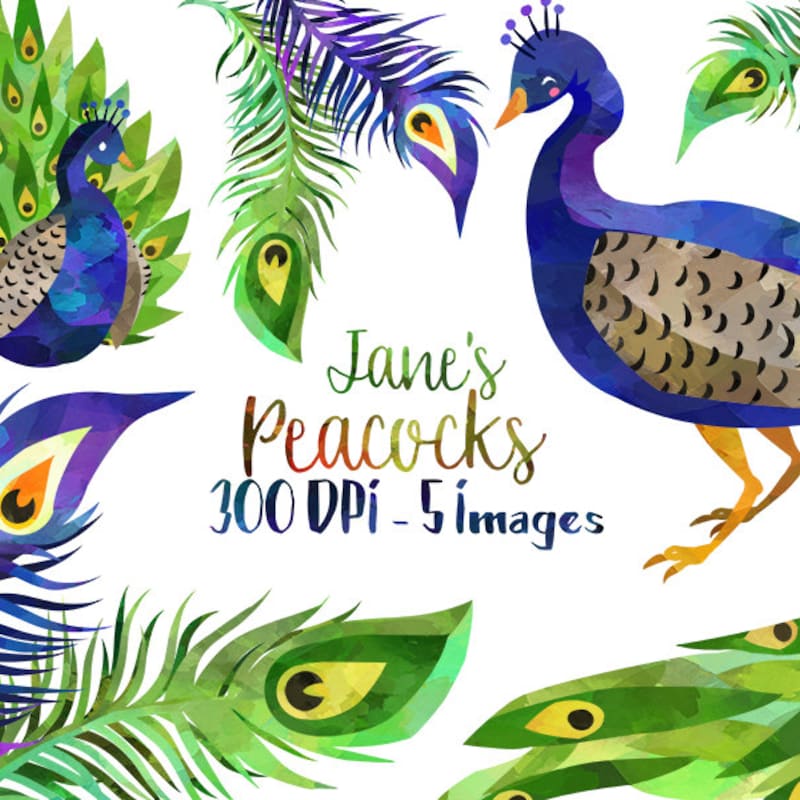 Peacock Clipart - Etsy