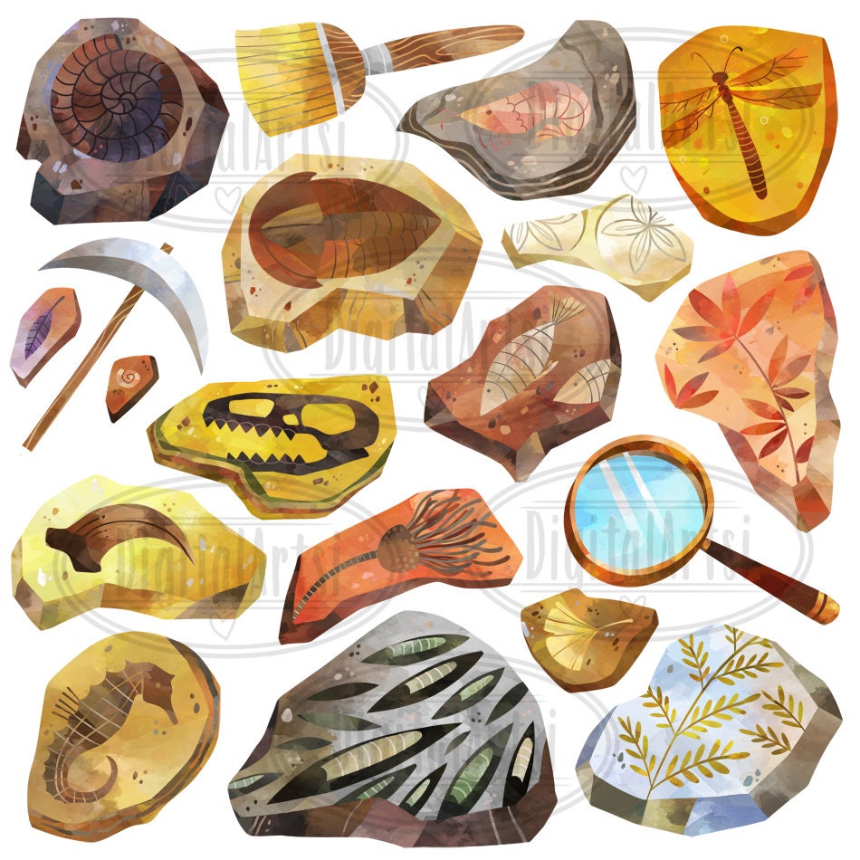 Watercolor Fossils Clipart - Paleontology Download - Instant Download ...
