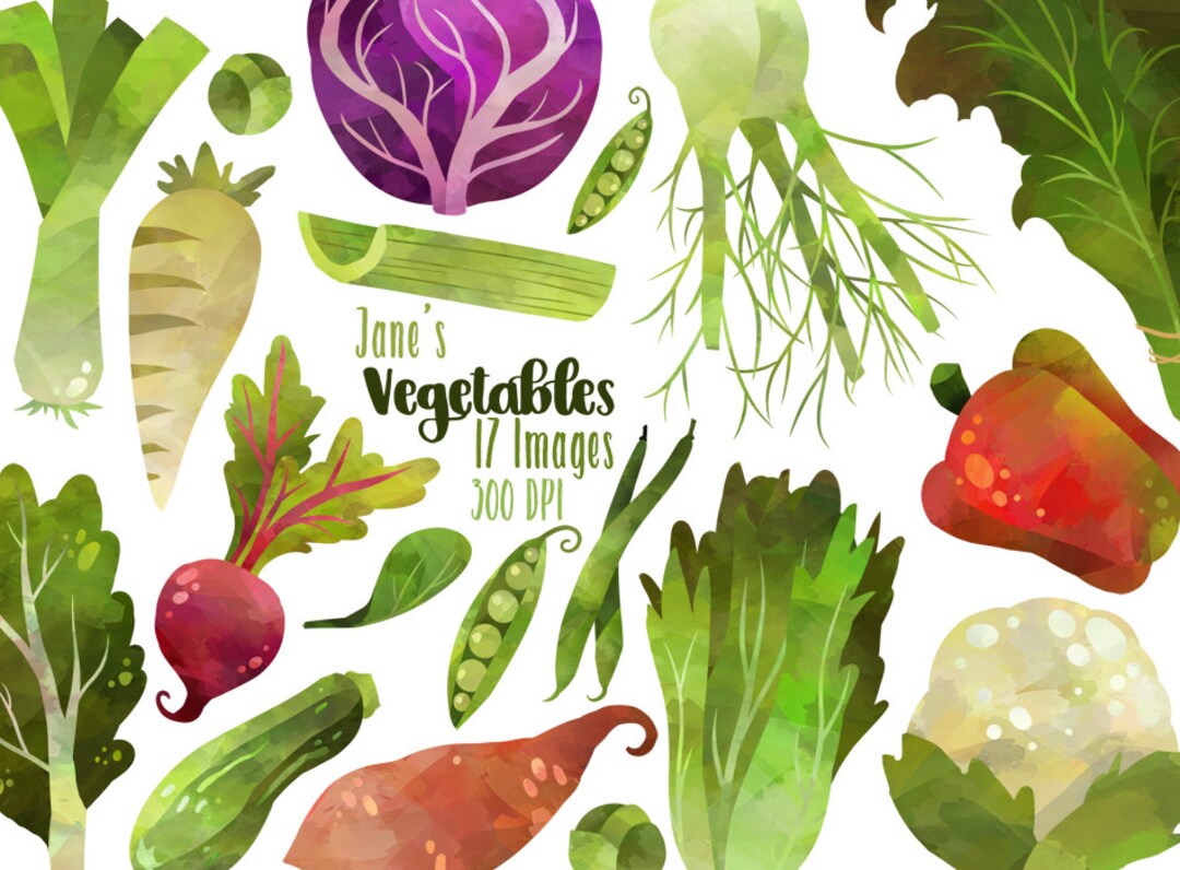 Watercolor Vegetables Clipart - Healthy Food Download - Instant ...