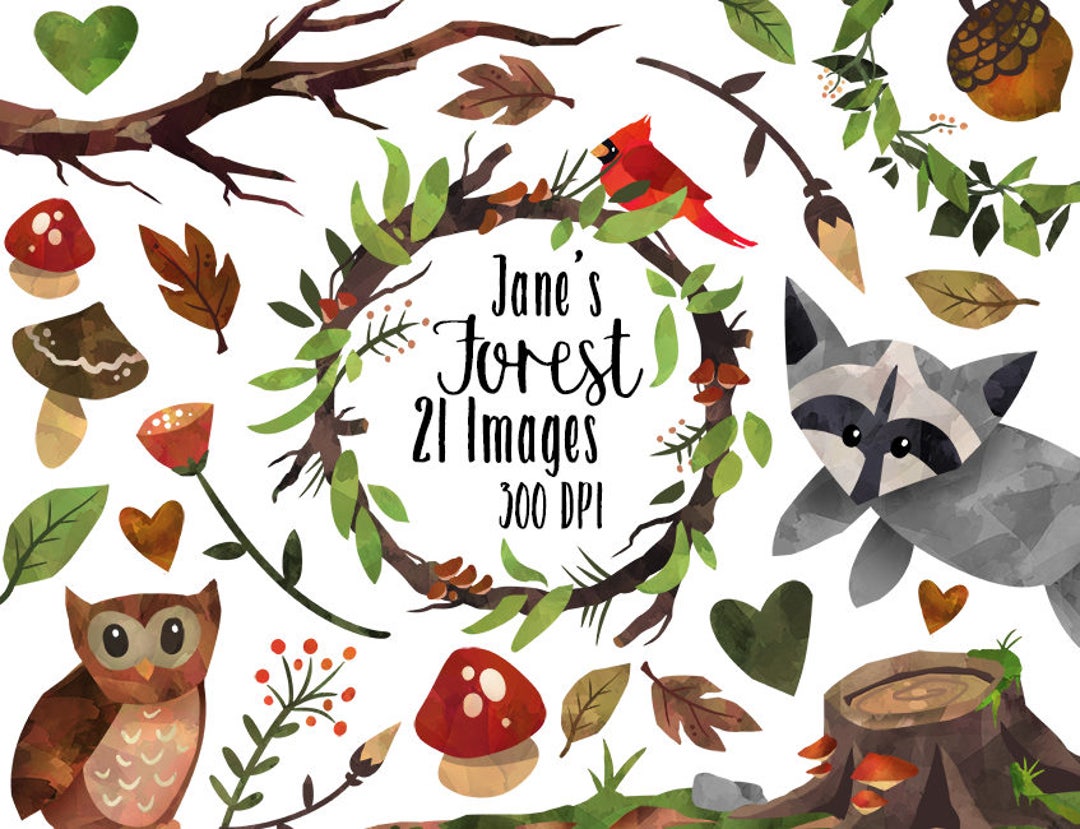 Watercolor Forest Clipart: Animals & Plants (digital Download) - Etsy