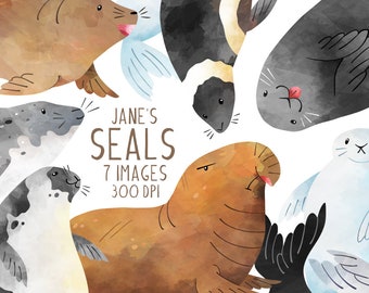 Seal Clipart, Baby Seal Vector, Cute Seal Animal, Kawaii Illustration ...