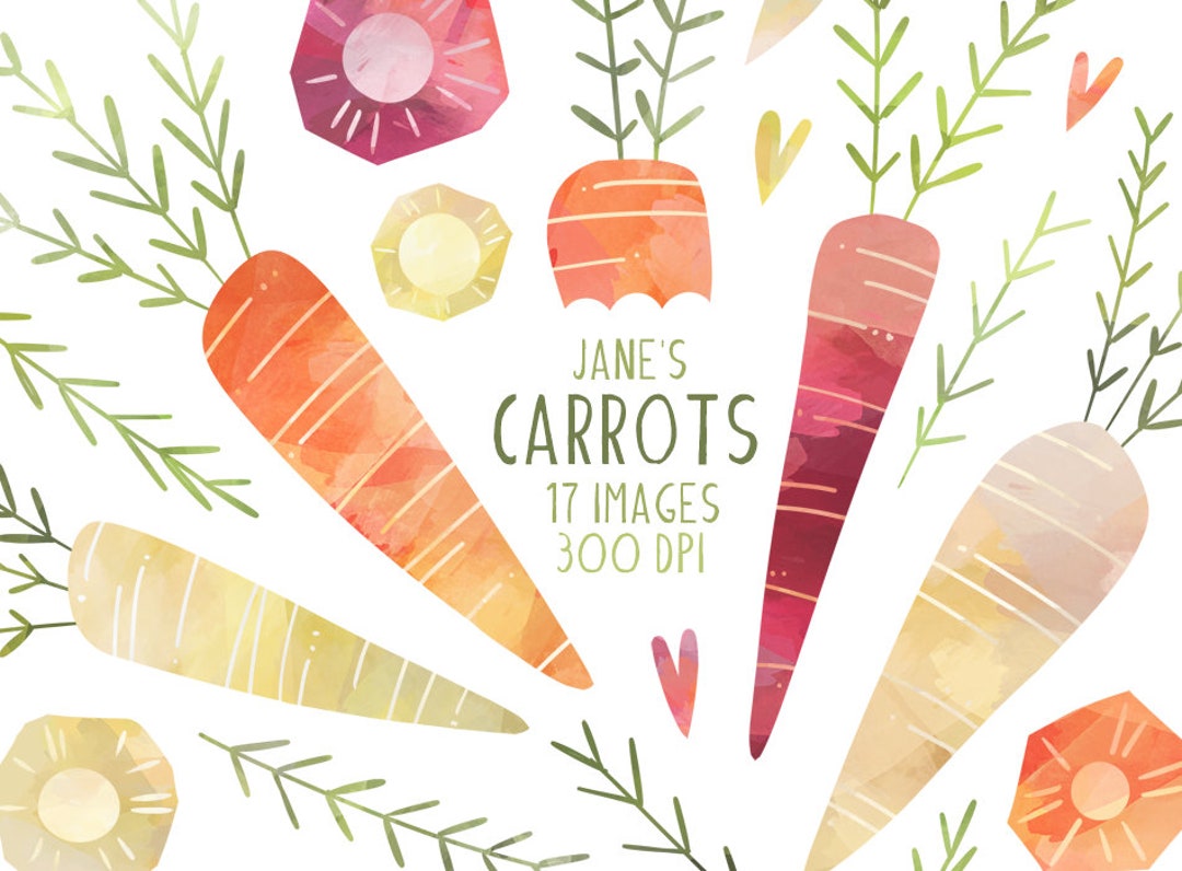 Watercolor Carrots Clipart - Carrot Graphics - Digital Download ...
