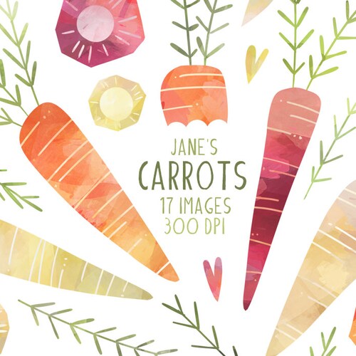 Watercolor Carrots Clipart Carrot Graphics Digital - Etsy