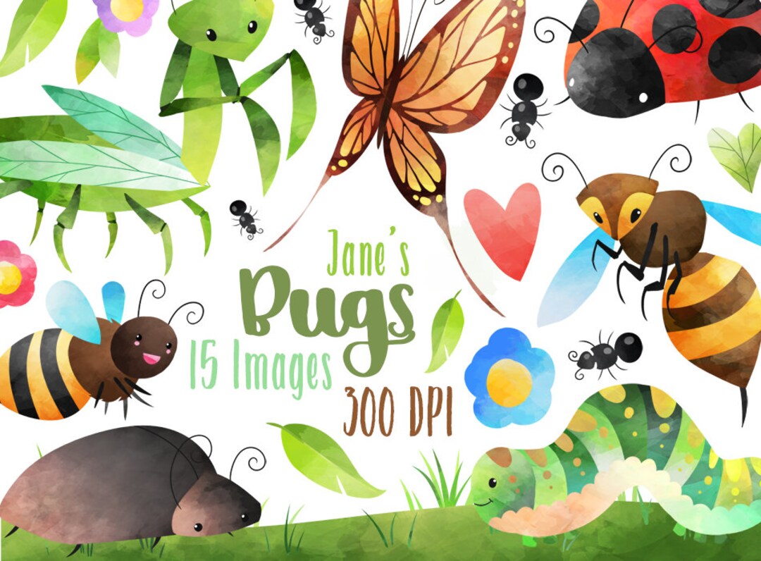 Watercolor Bugs Clipart: Garden Insects Illustration (digital Download ...