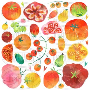 Watercolor Tomatoes Clipart - Tomato Graphics - Digital Download ...