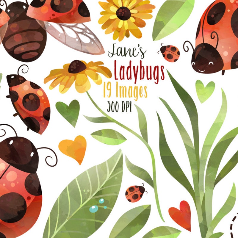 Ladybug Clipart - Etsy