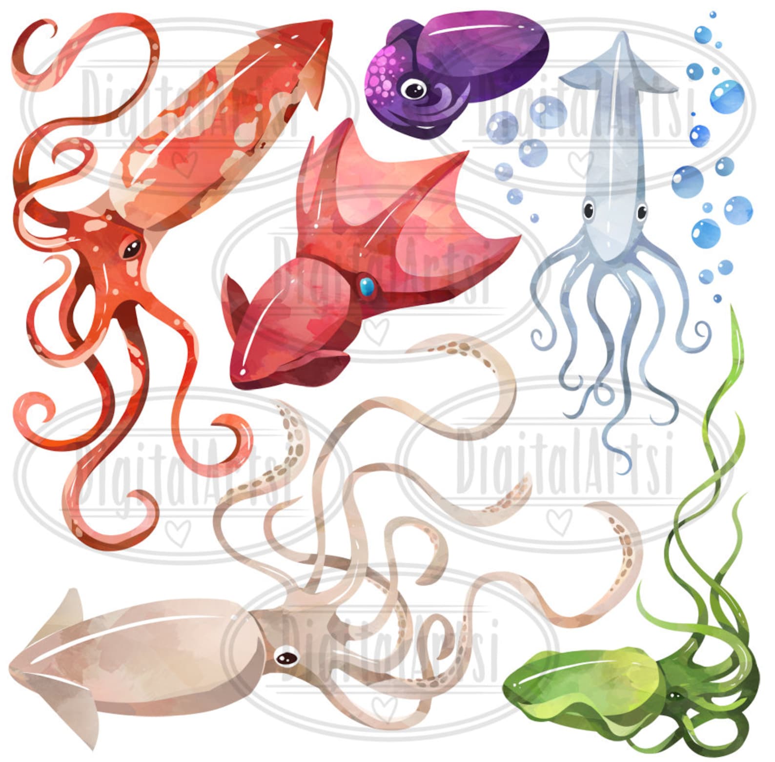Watercolor Squids Clipart Squid Download Instant Download | Etsy