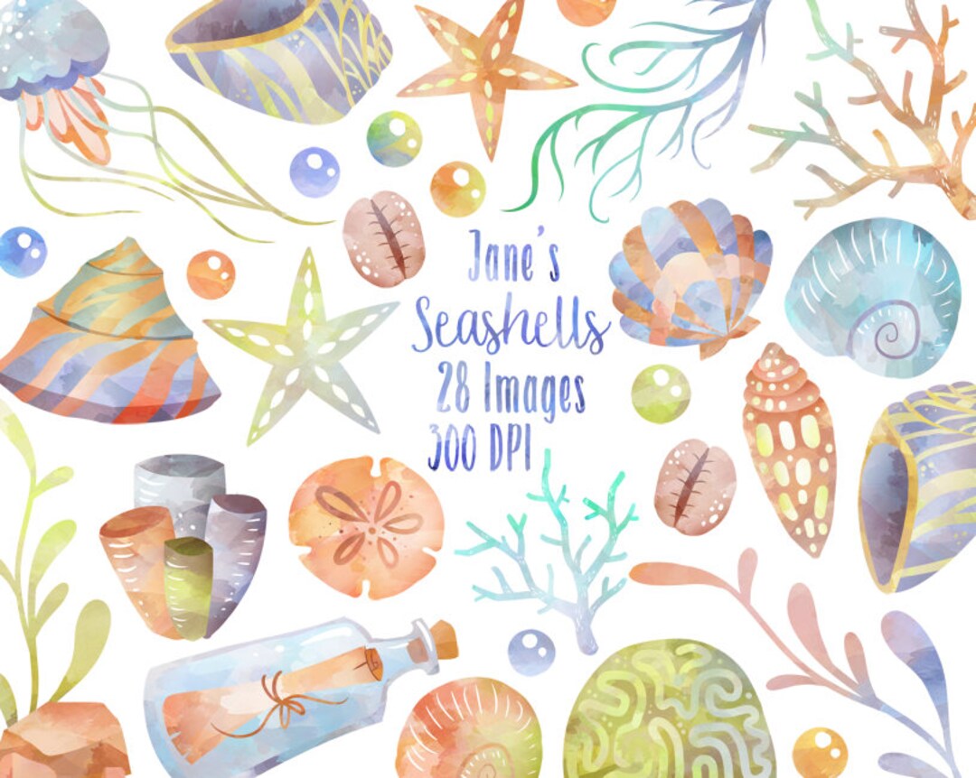 Watercolor Seashells Clipart - Coral Download - Instant Download - Clam ...