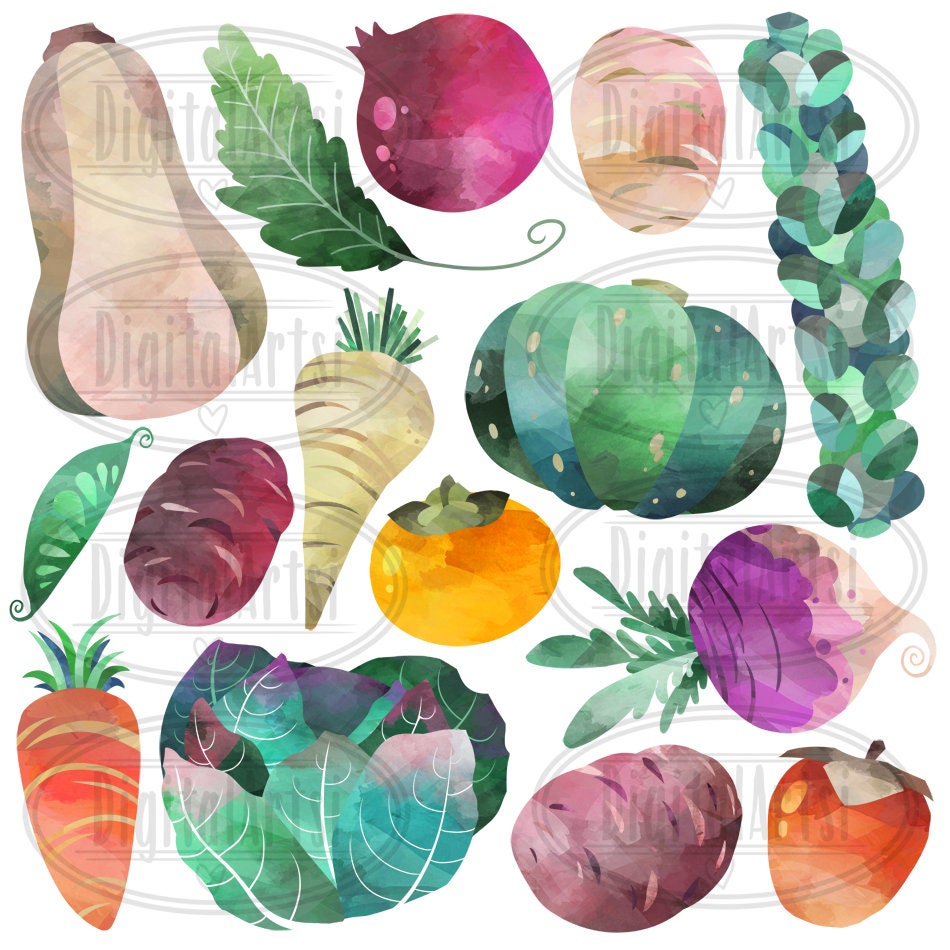 Watercolor Cold Weather Produce Clipart Vegetables Download - Etsy