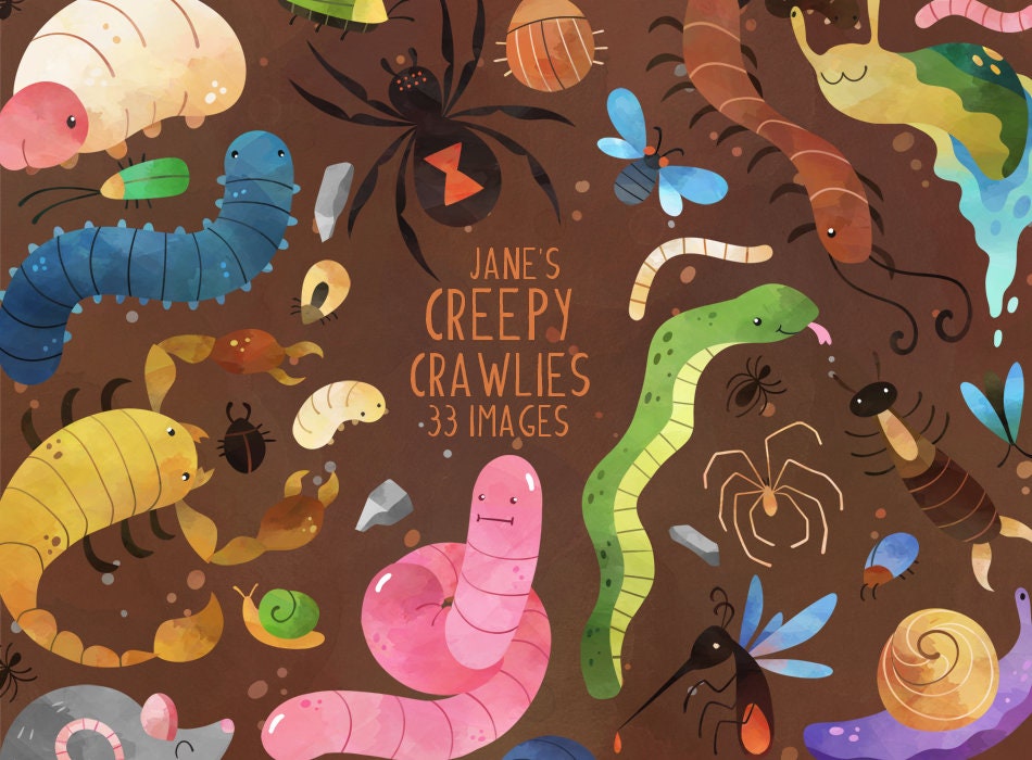 Bugs Clipart Creepy Crawlies Download Instant Download - Etsy Canada