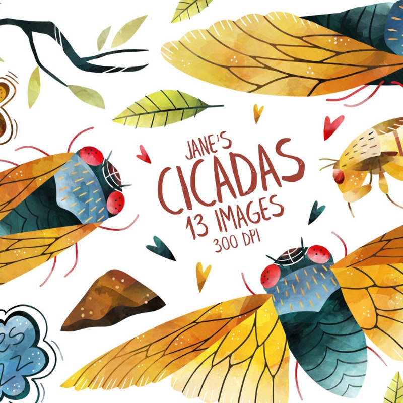 Cicada Clipart - Etsy
