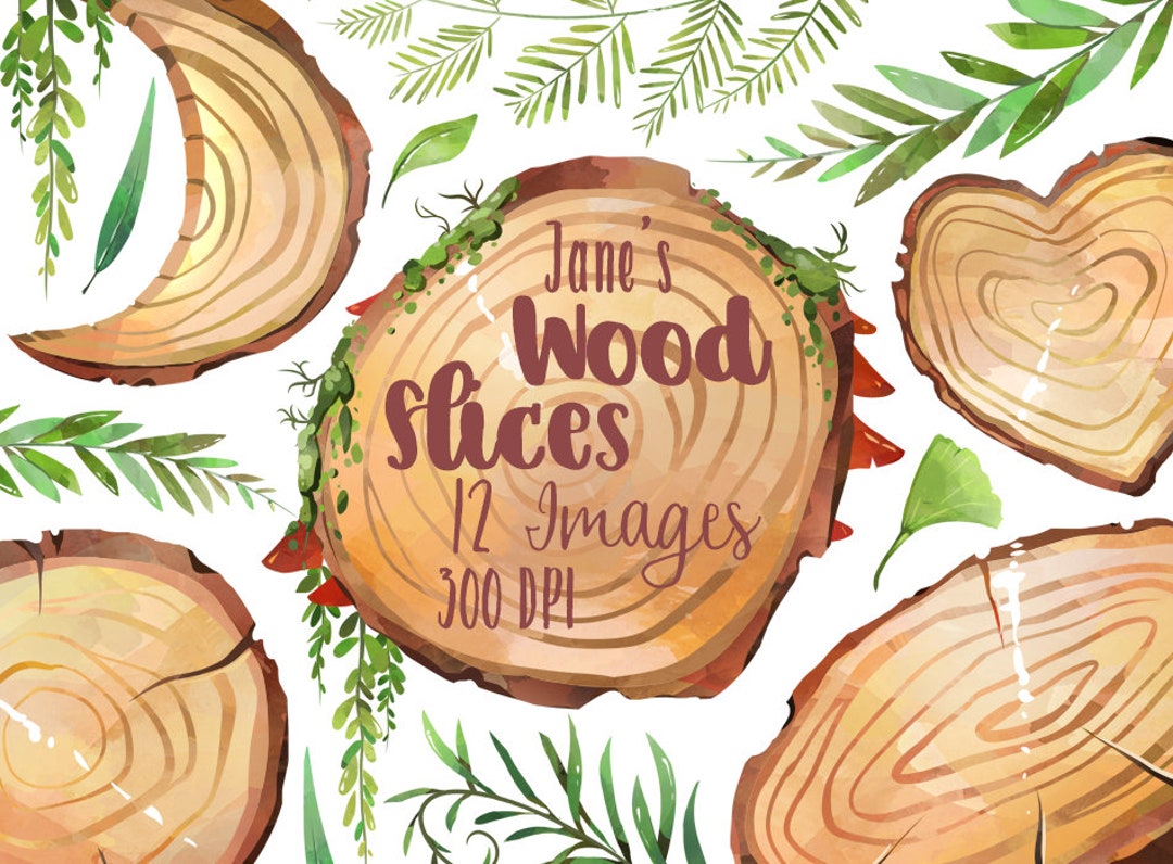 Watercolor Wood Slices Clipart - Woodland Plants Download - Instant ...