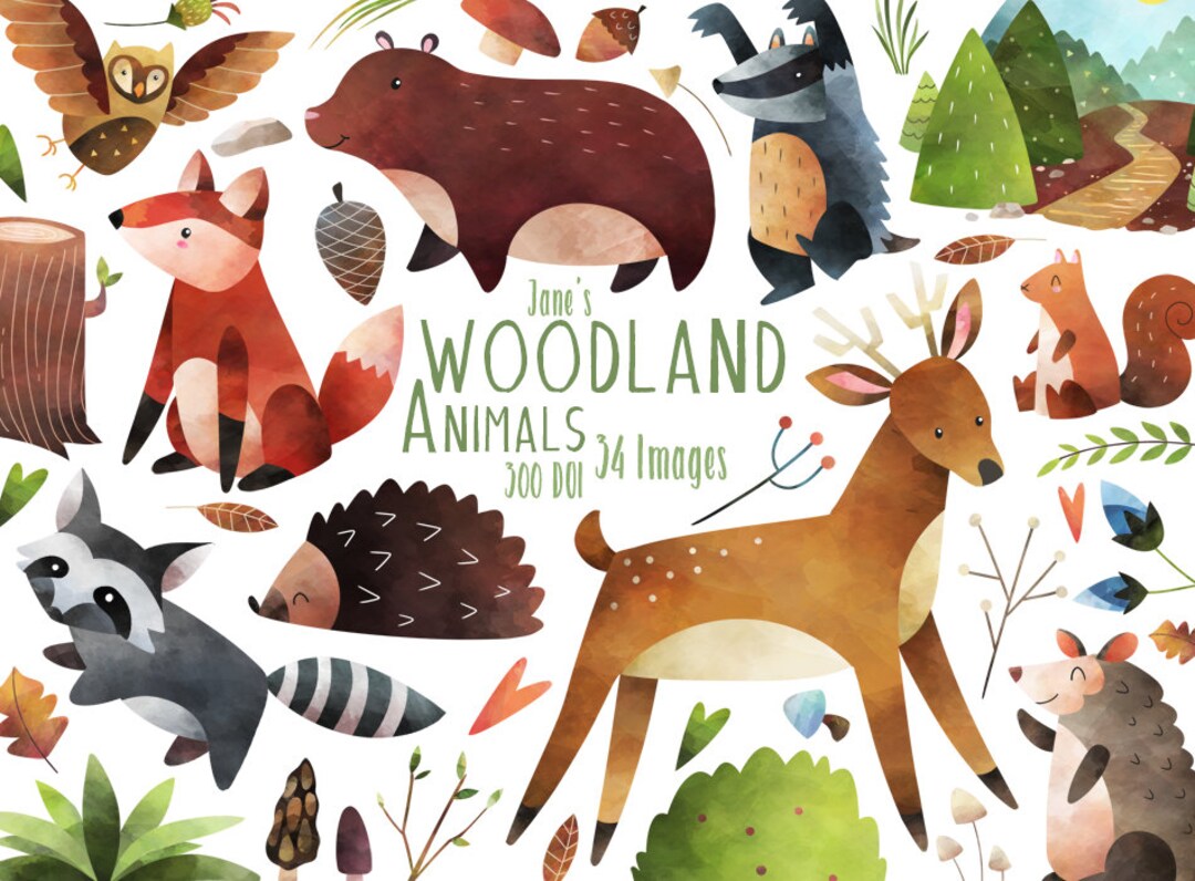 Watercolor Woodland Animals Clipart: Forest Creatures (digital Download ...