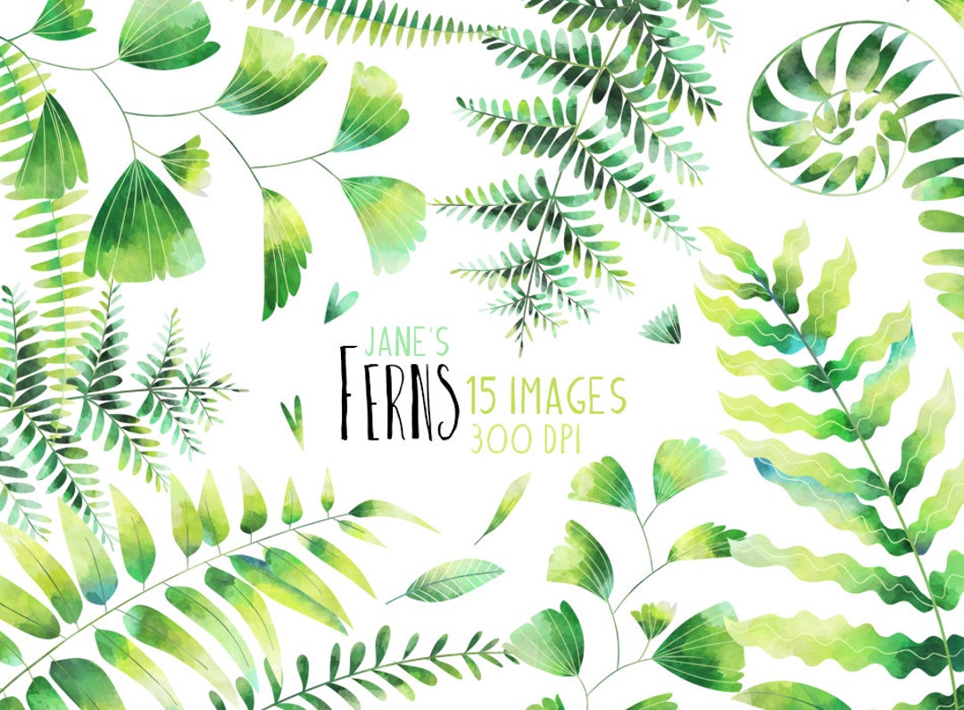 Watercolor Ferns Clipart: Green Leaves Illustration (digital Download ...
