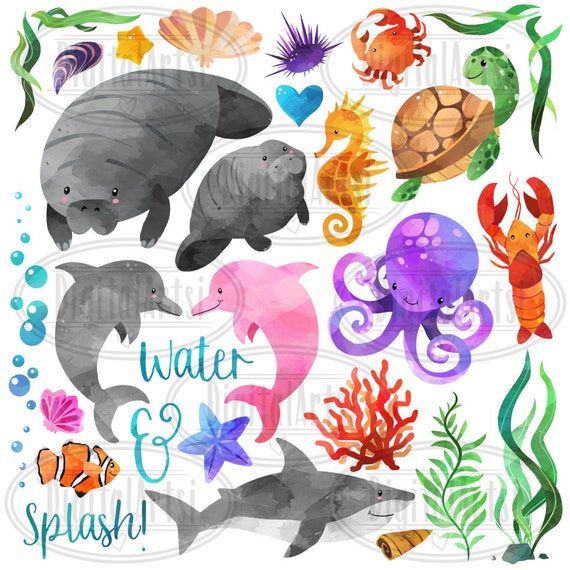 Sea ocean underwater life clipart Dolphin whale jellyfish sealion ...