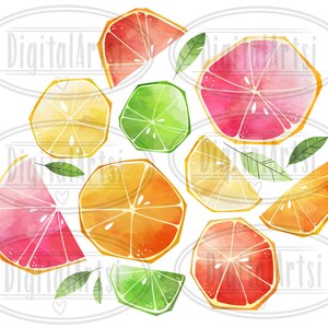 Watercolor Citrus Clipart - Food Download - Instant Download ...