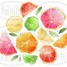 Watercolor Citrus Clipart Food Download Instant Download - Etsy