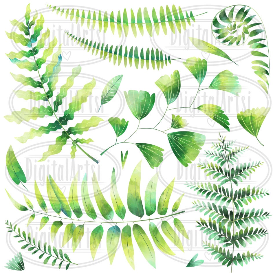 Watercolor Ferns Clipart Green Leaves Download Instant - Etsy