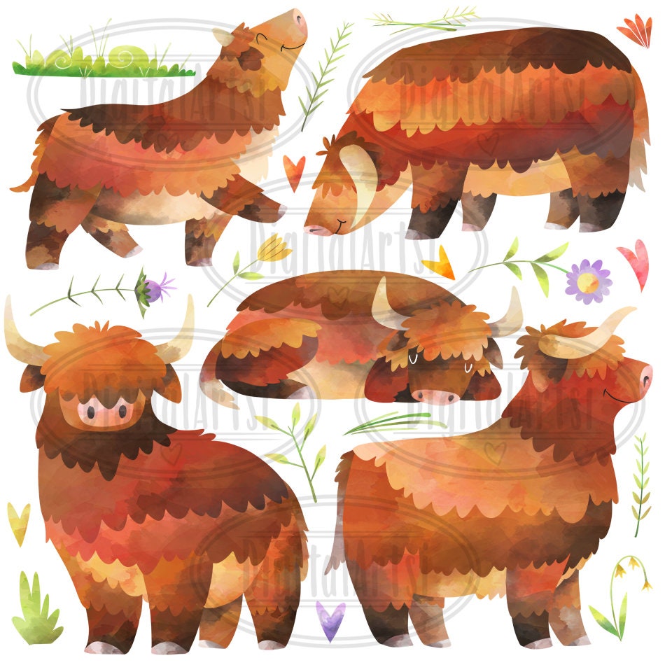 Watercolor Highland Cow Clipart: Farm Animal Illustrations (digital ...