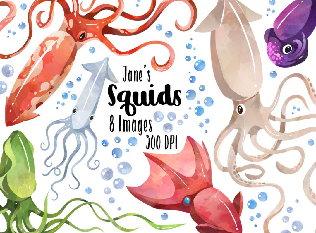 Watercolor Squids Clipart - Squid Download - Instant Download - Sea ...